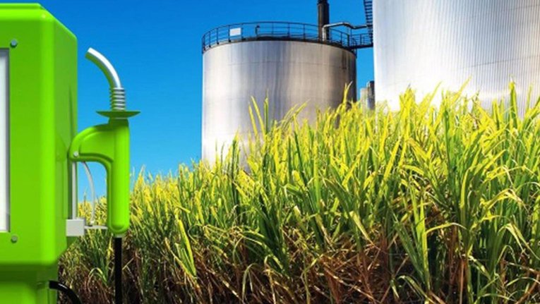 Senado debate Ley de Biocombustibles: Santa Fe cuestiona beneficios ...